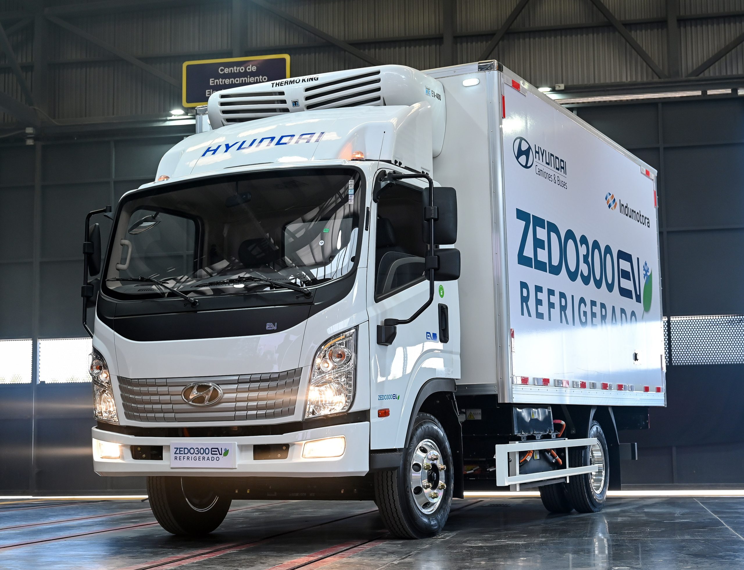 Hyundai Camiones & Buses Líder En Productos De Electromovilidad - IM